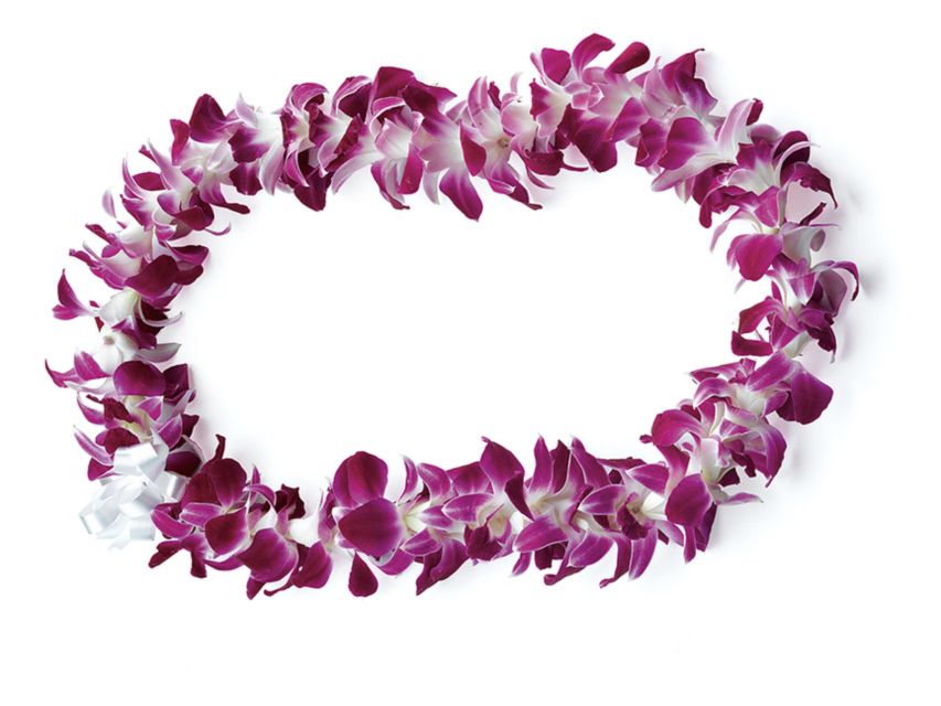 Honolulu: Private Airport Transfer with Arrival Lei Greeting - Who Will Love This Service?