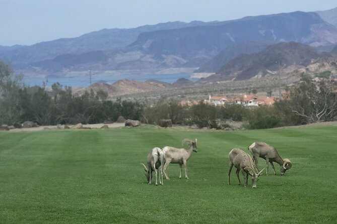 Hoover Dam Self-Guided Tour on a CanAm Trike - Practical Details & Tips