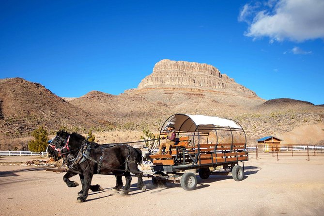 Horseback Ride Joshua Tree Forest Buffalo Lunch Singing Cowboy - Practical Tips for Travelers
