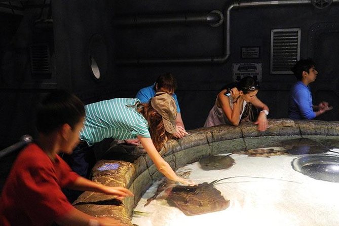 Houston CityPASS® - Practical Tips for Making the Most of Your Houston CityPASS®