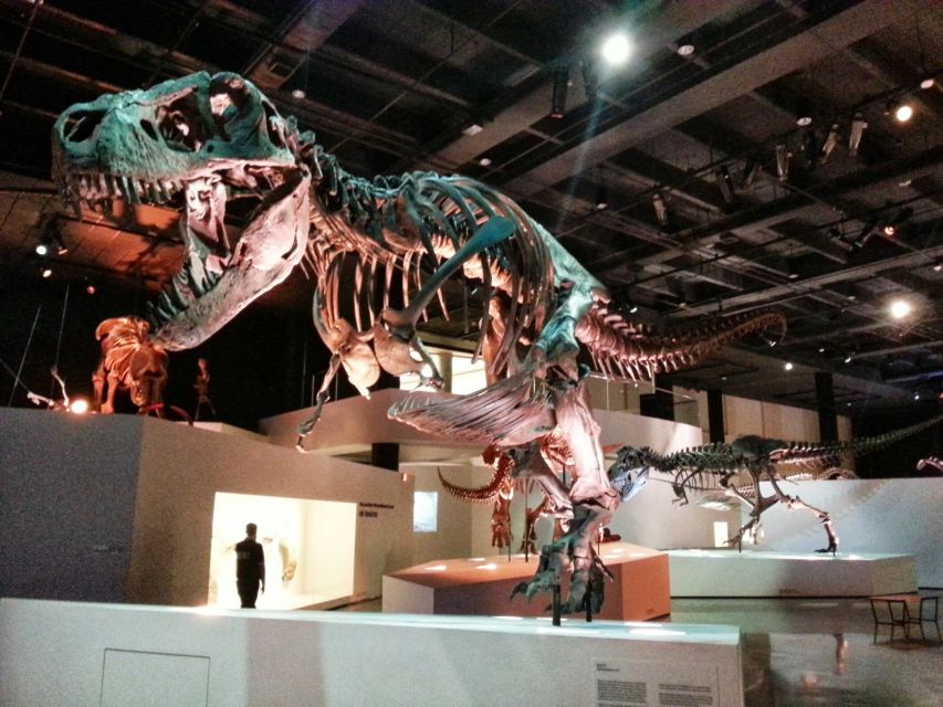 Houston CityPASS®: Save up to 51% at 5 Top Attractions - The Sum Up