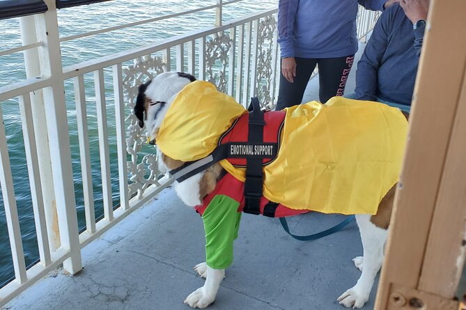 Howl O Ween Doggy Costume Party Cruise - Key Points