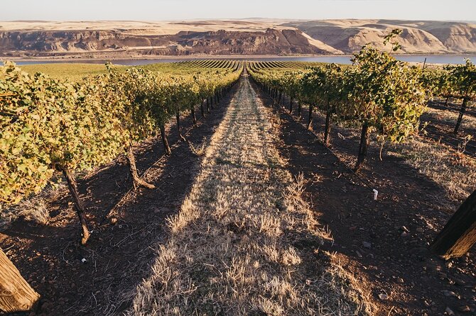 Hurray for Hollywood, Woodinville Winery Pass - Introduction