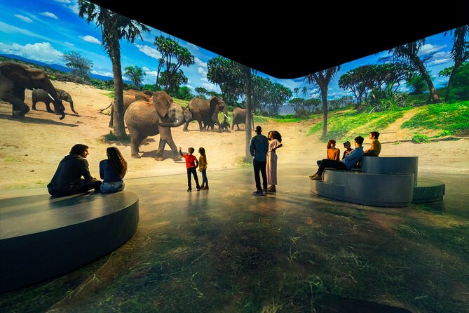 Illuminarium Las Vegas - Final Thoughts