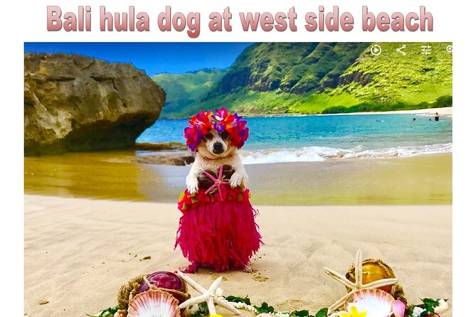 Incredible west side hidden gems -PLEASE CONTACT BEFORE BOOKING - FAQ