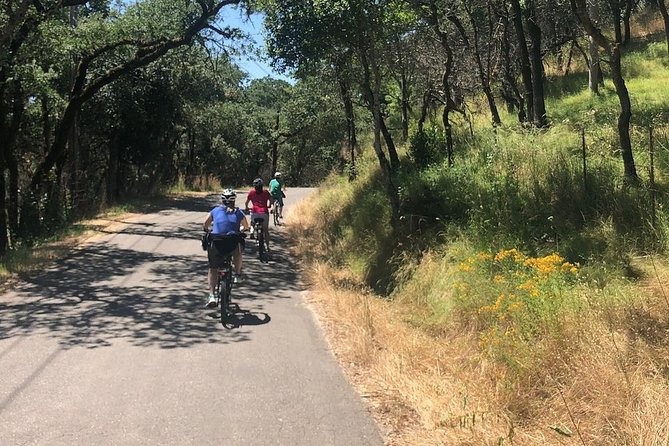 Independent Hassle-free Bike Rental in Sonoma