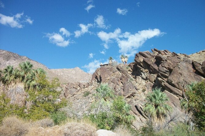 Indian Canyons Hiking Tour by Jeep from Palm Desert
