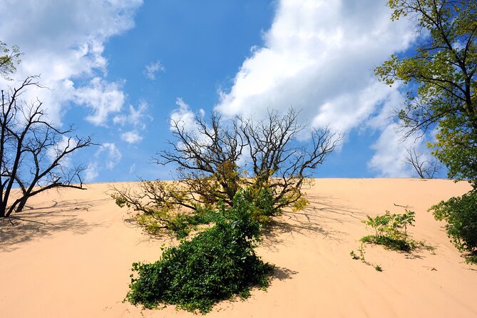 Indiana Dunes National Park Self-Guided Audio Tour - Who Should Consider This Tour?