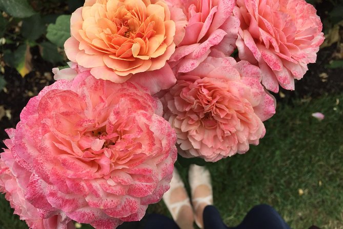 Intro to Portland Small Group Walking Tour - Limitations & Considerations