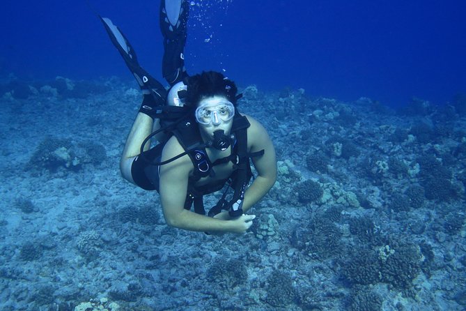 Introductory Beach Scuba Dive - What to Keep in Mind
