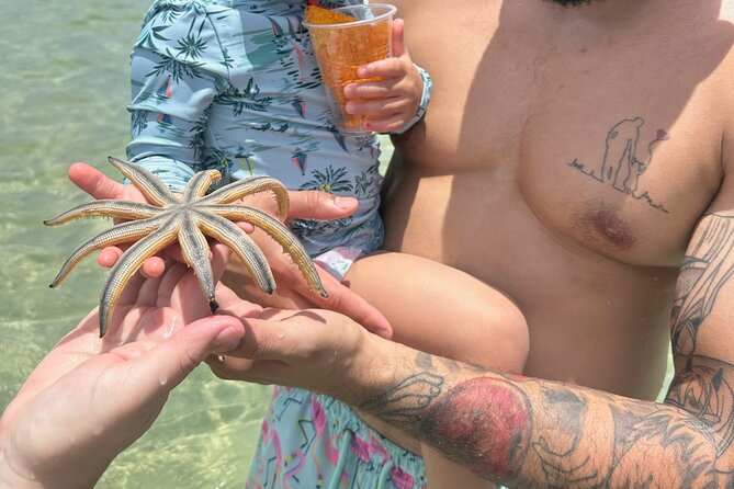 Island Adventure Miami Boat Rental to Raccoon Island Miami Tour - Who Will Love This Tour? 