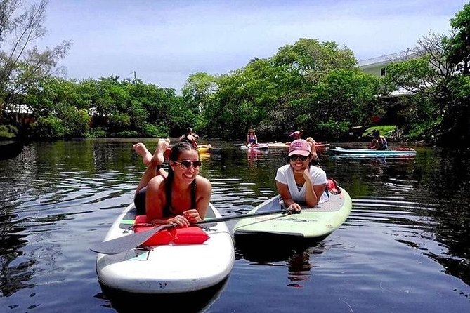 Island City ECO Paddle and Lesson to 9.3 Acre Nature Preserve