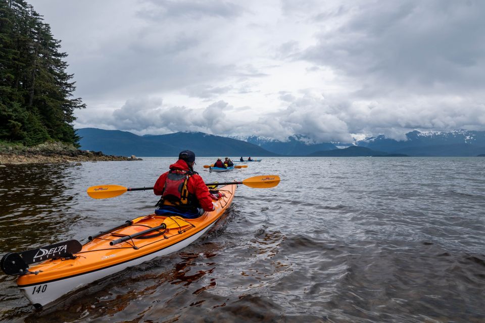 Juneau: Paddle with Whales Kayak Adventure - Setting the Scene: What to Expect on the Tour