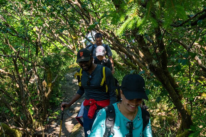 Juneau Shore Excursion: Mendenhall Glacier Guided Hike
