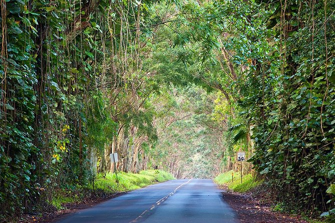 Kauai Highlights Small Group Tour -A journey to the Canyon & more - Transportation and Group Size