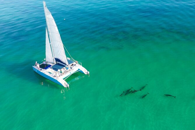 Kayak + Guided Snorkel & Morning Sail hosted by Honest Eco - An Authentic Eco-Adventure in Key West