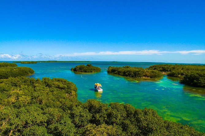 Kayak + Guided Snorkel & Morning Sail hosted by Honest Eco - Final Thoughts