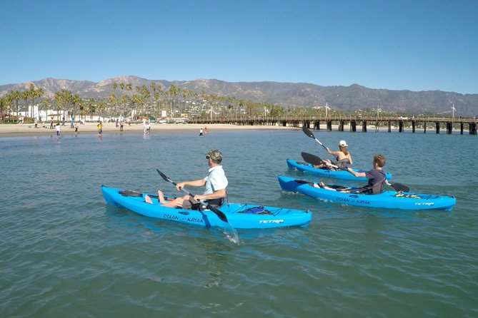 Kayak Tour of Santa Barbara with Experienced Guide