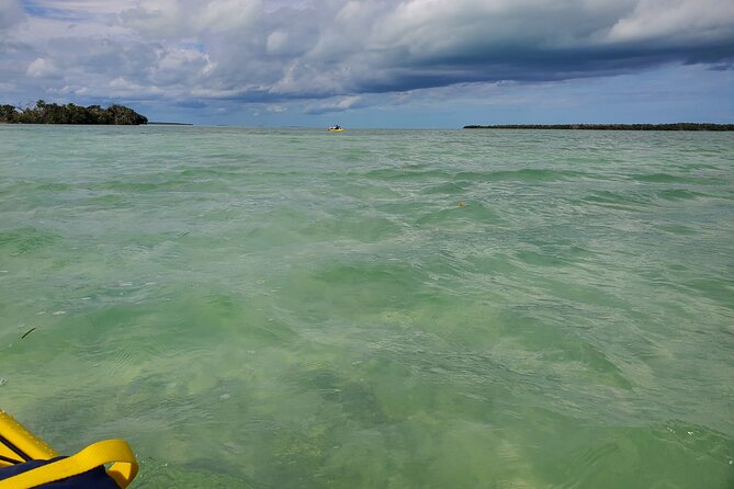 Kayak Trip, 1 Wet Hike + 2 dry hikes in Everglades National Park