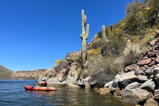 Kayaking 3 Hr Canyon & Cliffside on Saguaro Lake