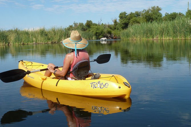 Kayaking the Salt River Foxtail Trip