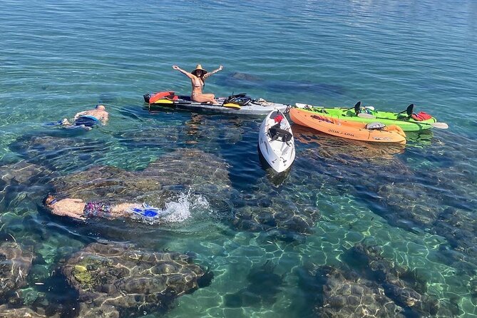 Kayaking with Sea Lions in a Calm Beautiful Harbor