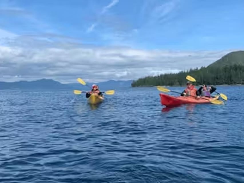 Ketchikan: Kayak Eco-Tour