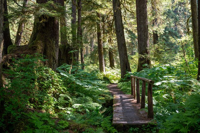 Ketchikan Magical Old-Growth Creek Trek Guided Tour - Final Words