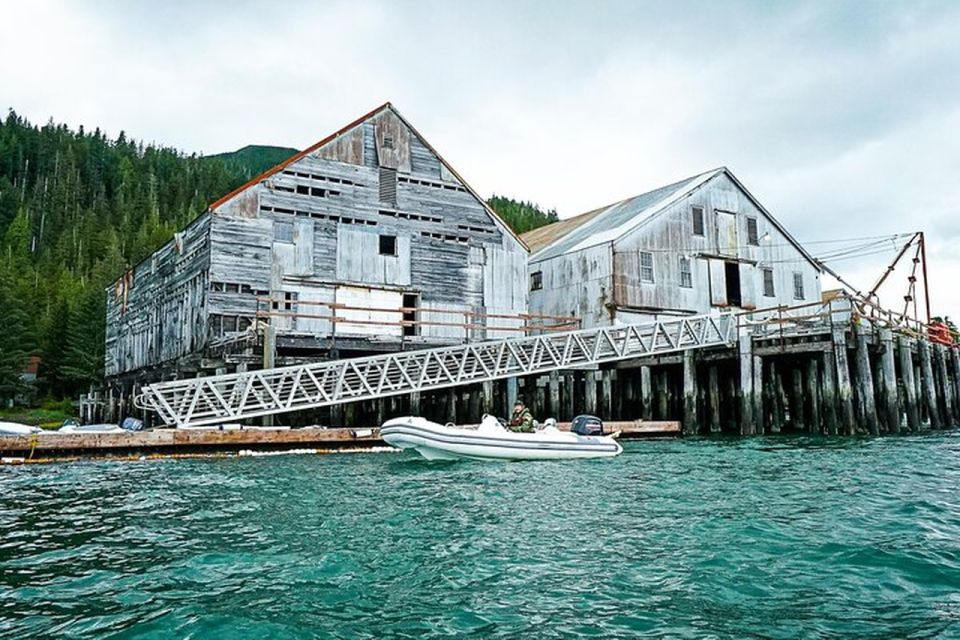 Ketchikan: Scenic Drive & George Inlet Fjords Zodiac Cruise