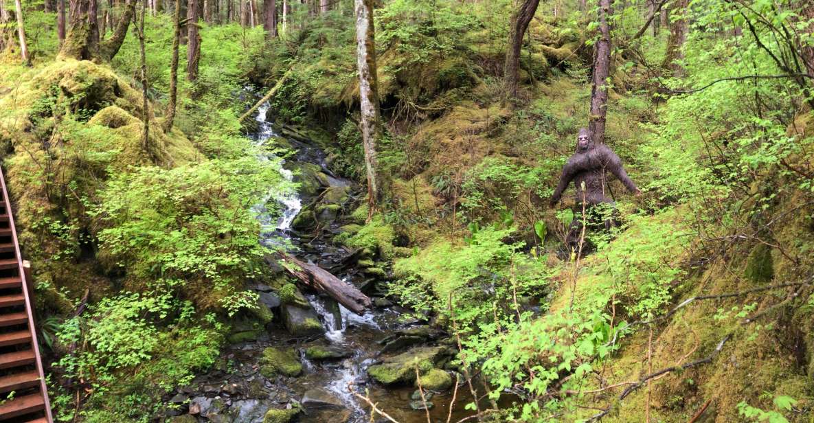 Ketchikan: Tongass Forest Alaska Bigfoot ATV Ride and Hike