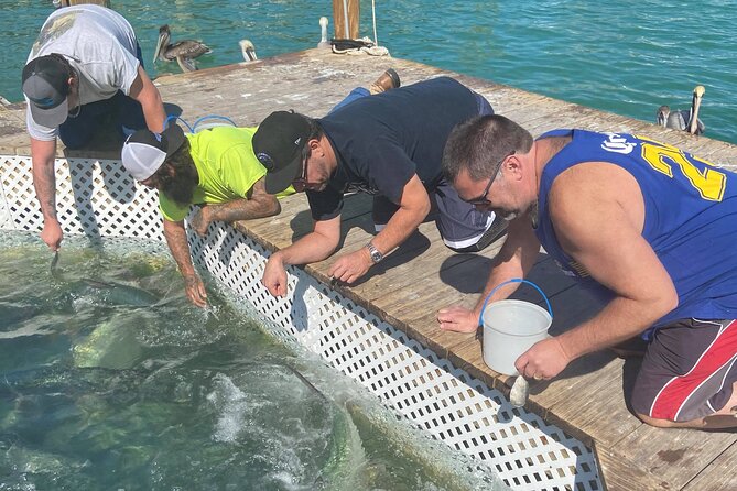 Key Largo and Islamorada Private Tour by Cabriolet Bus - The Details of the Experience