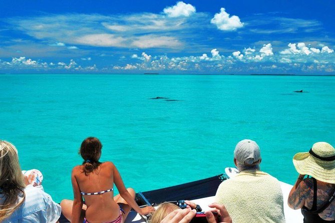 Key West Day Trip from Miami with Activities - Arriving in Key West: What to Expect