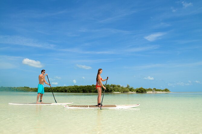 Key West Island Eco Tour with Transportation from Miami - Who Should Consider This Tour?