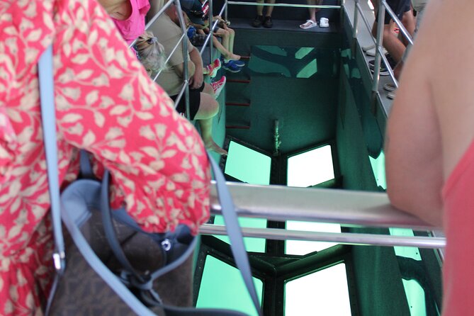 Key West Tours from Miami: Dolphin Discovery, Snorkeling & More !