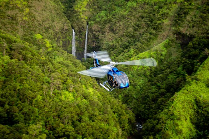 Kohala Waterfalls with Exclusive Landing Helicopter Tour - Why This Tour Offers Great Value