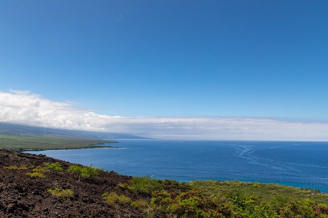 Kona Coast Cruise: Snorkel Kealakekua Bay & Dolphin Encounter - Group Size and Guides: Why It Matters