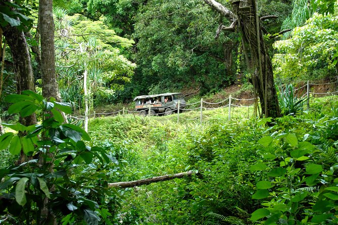 Kualoa Ranch: Jungle Expedition Tour - Key Points