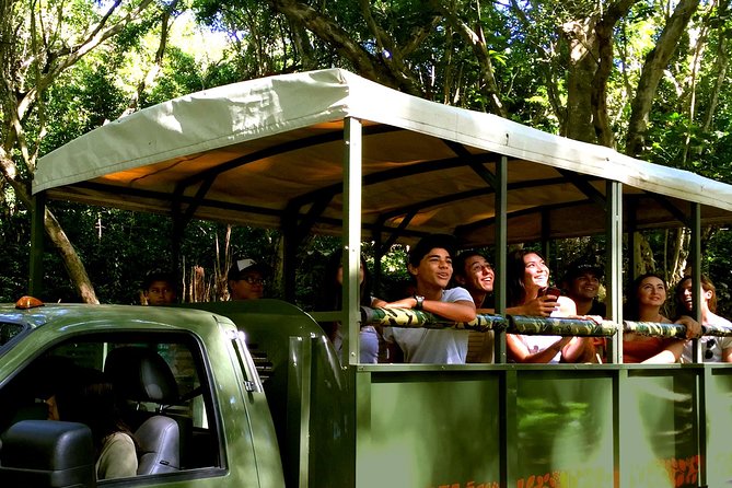 Kualoa Ranch: Jungle Expedition Tour - Who Should Consider This Tour?