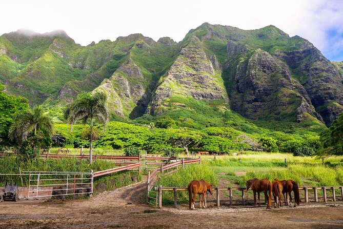 Kualoa Ranch Jurassic Adventure Tour - Kualoa Ranch Jurassic Adventure Tour Review
