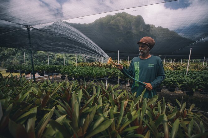 Kualoa Ranch - Kualoa Grown Tour - Authentic Insights from Reviewers