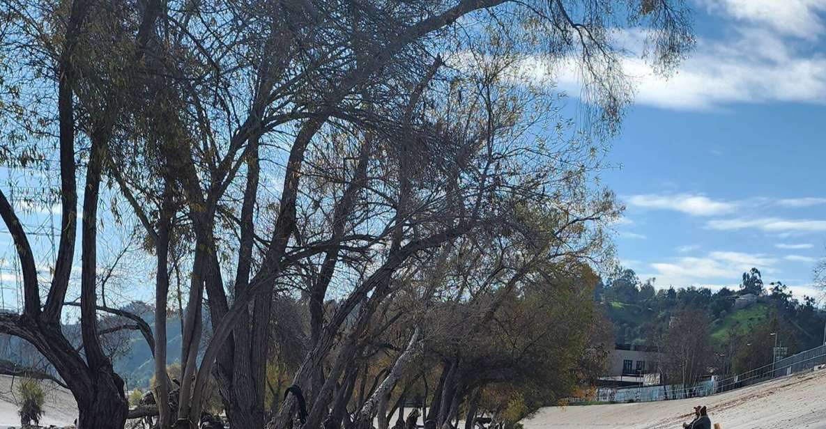 LA River Eco Tour and Secret Stair Hike - The Value in Details