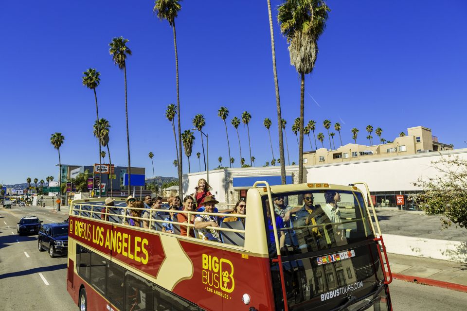LA: TMZ Celebrity Tour & Big Bus 24-Hour Hop-on Hop-off Tour - Is This Tour Worth It?