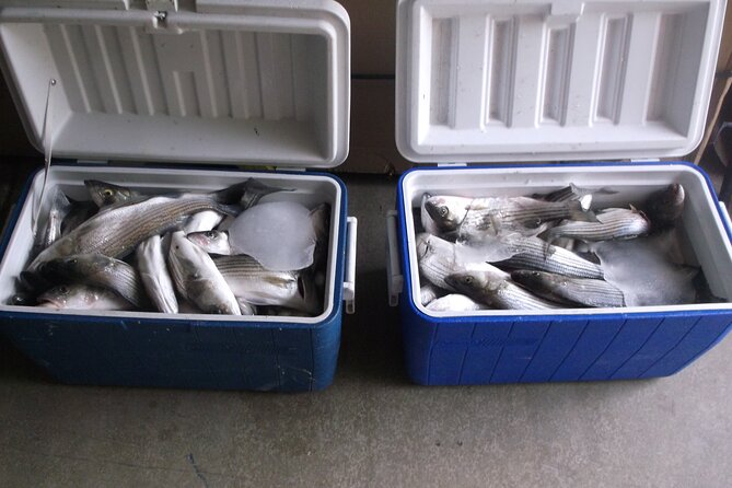 Lake Mead Striped Bass Fishing Getaway - An In-Depth Look at the Lake Mead Striped Bass Fishing Getaway