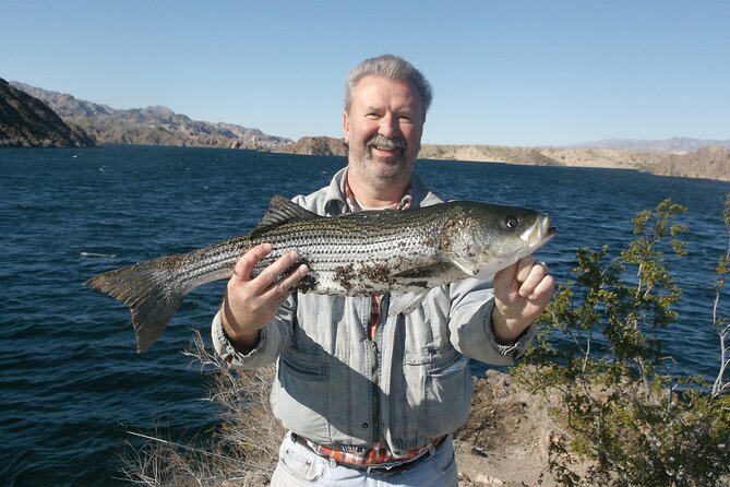 Lake Mead Striped Bass Fishing Getaway - Practical Considerations and Tips