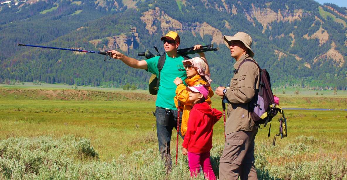 Lamar Valley: Safari Hiking Tour with Lunch