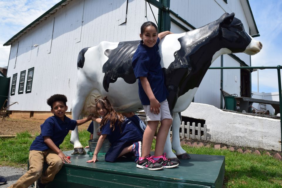 Lancaster County: Amish Farmlands, Museum Tour, Farm Visit - What to Expect from the Tour