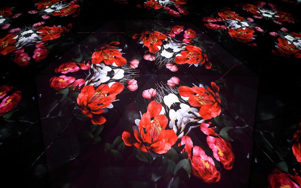 Las Vegas: Arte Museum Las Vegas Immersive Art Exhibition - Introduction: A Digital Art Journey in the Heart of Las Vegas