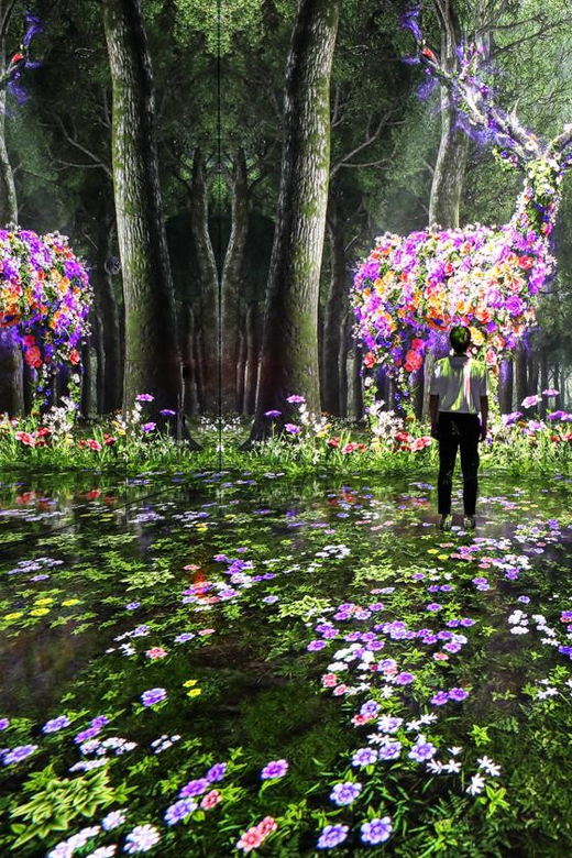 Las Vegas: Arte Museum Las Vegas Immersive Art Exhibition - Who Should Visit?