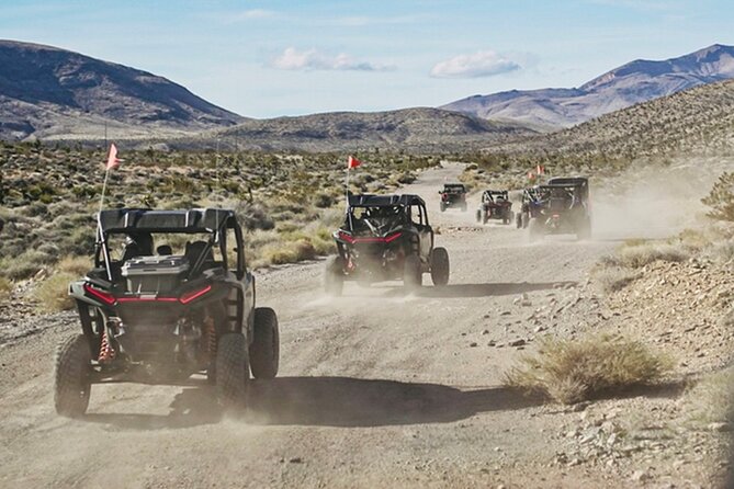 Las Vegas ATV Tour with Free Transportation - Final Thoughts: Is It Worth It?