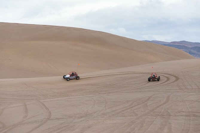 Las Vegas Big Dune Free Roam Adventure at Amargosa - The Experience on the Ground